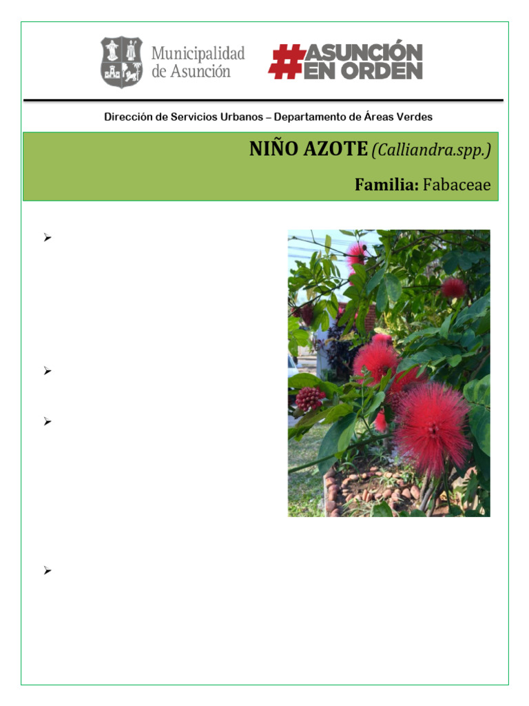 Niño Azote | PDF