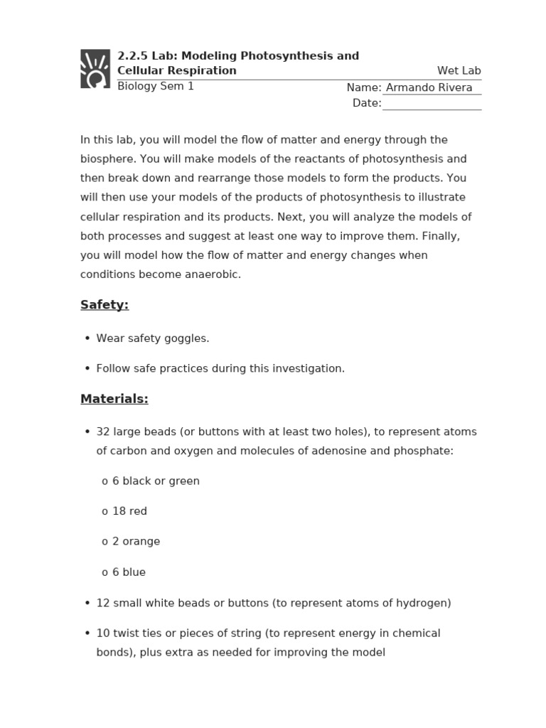 2.2.5 Lab - Modeling Photosynthesis and Cellular Respiration (Wet Lab ...