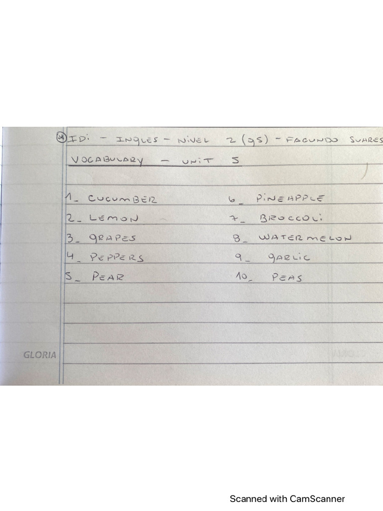 Vocabulary - Unit 5 | PDF