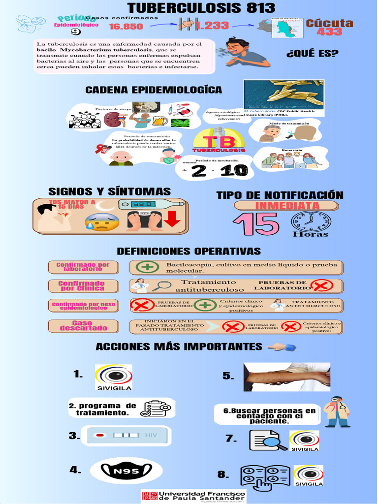 INFOGRAFIA Tuberculosis | PDF