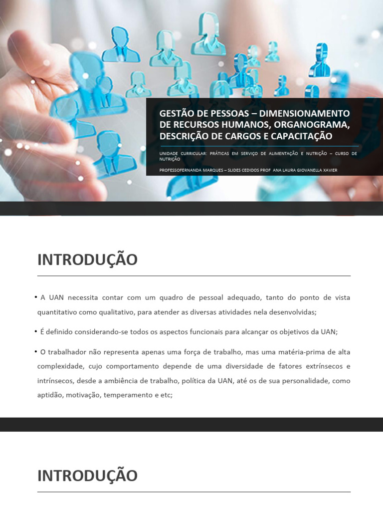 Organograma De Recursos Humanos