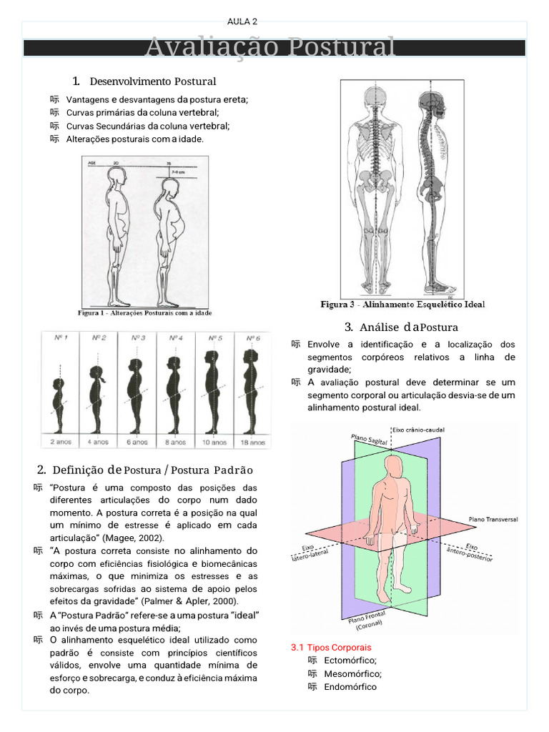 Aula 02 - Avaliação Postural | PDF