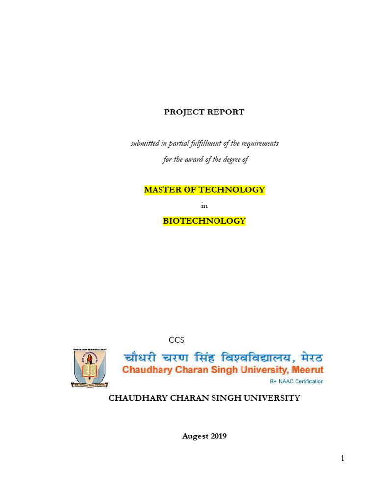 Astha Final Report | PDF