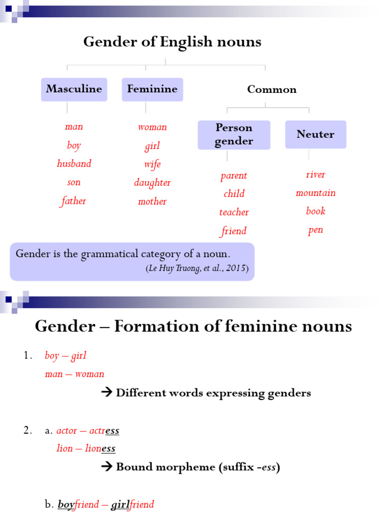 Nouns (P2) - Gender - Number.case | PDF