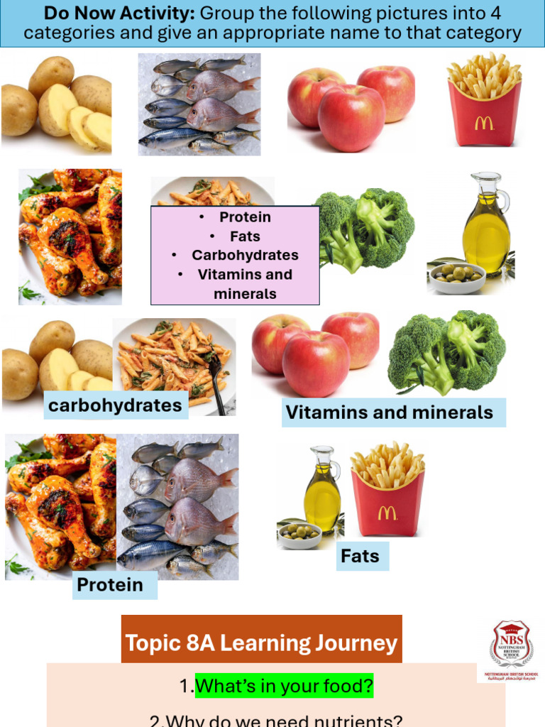 Topic 8A (Nutrition) - Lesson 1 | PDF
