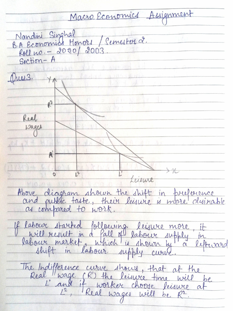 Nandini (Macro Assignment) | PDF