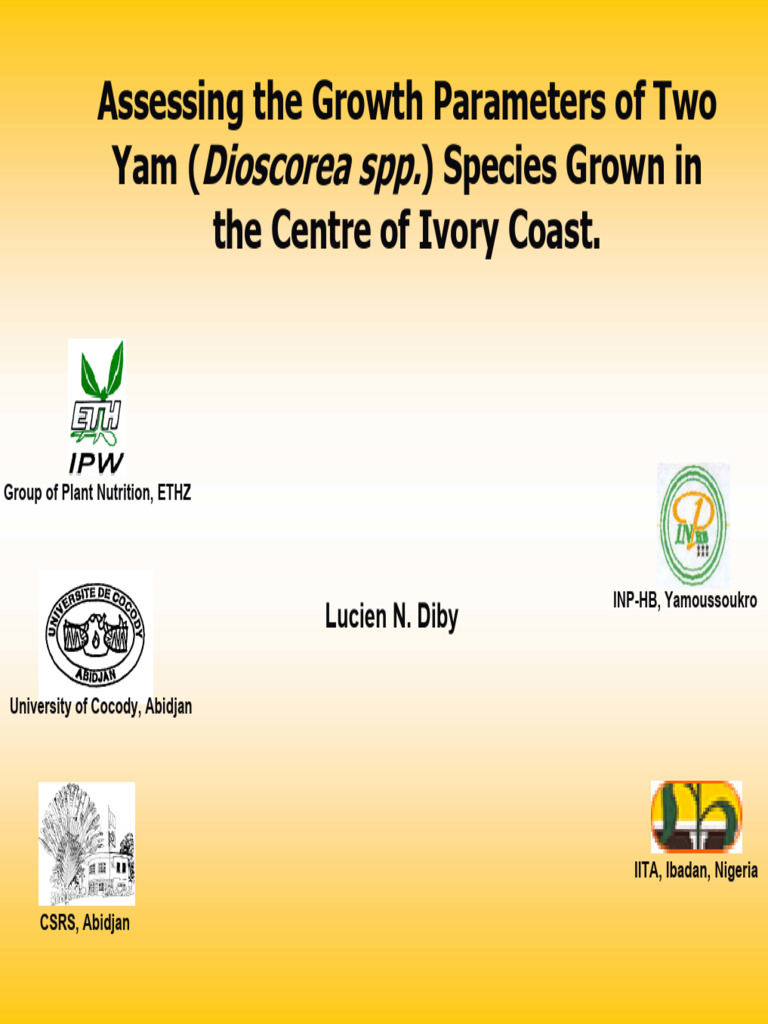 Diby_Presentation | PDF