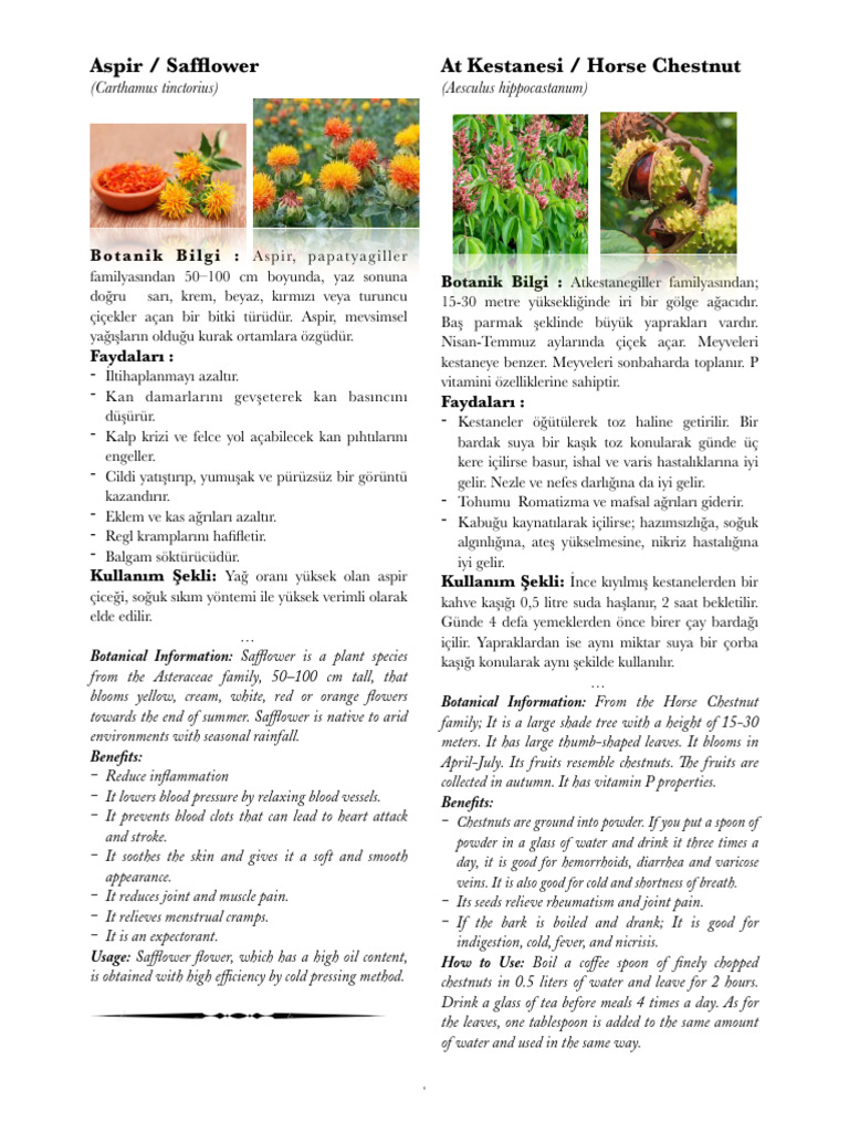 SBA 2. Kısım PDF: Asp-Çad | PDF