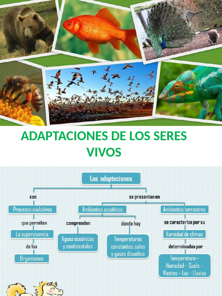 ADAPTACIONES DE LOS SERES VIVOS (Animales) | PDF