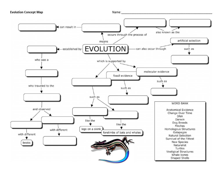 DONE - Evolution Concept Map | PDF