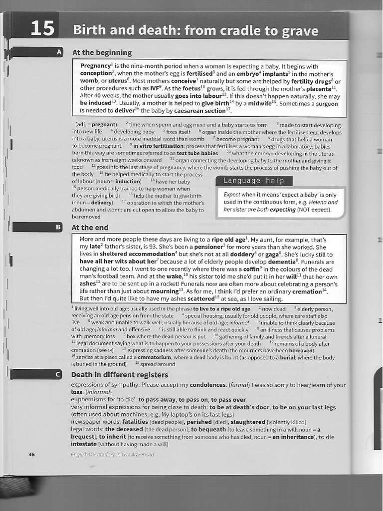 15 Birth and Death-from Cradle to Grave | PDF