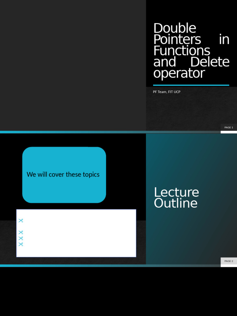 Lecture 4 Double Pointers in Funtions and Delete Operator | PDF