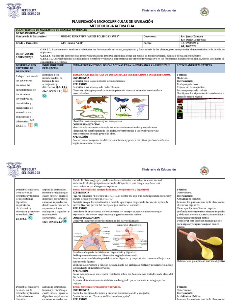 Nivelación - CCNN | PDF