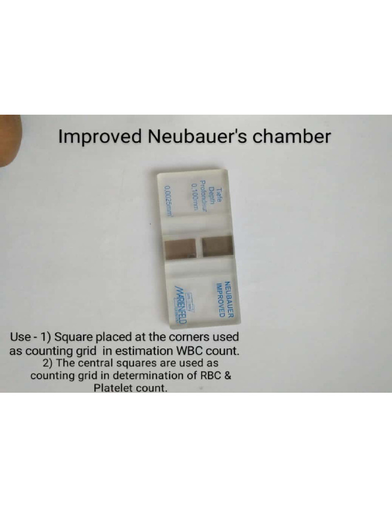 Physio Spot Instru | PDF