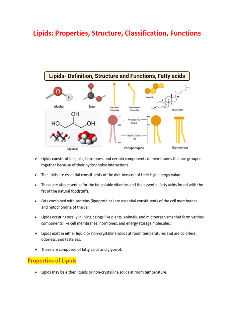 Lipids - Properties, Structure, Classification & Function | PDF | Fatty Acid | Triglyceride