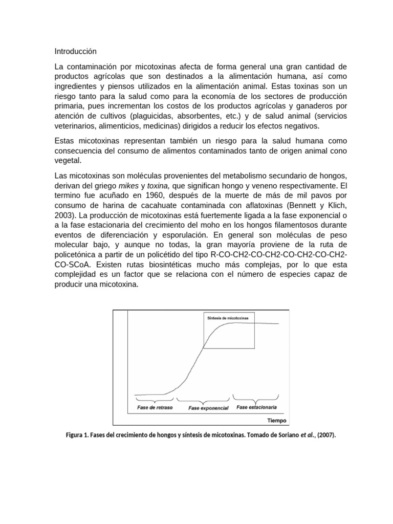 Protocolo Maestria | PDF