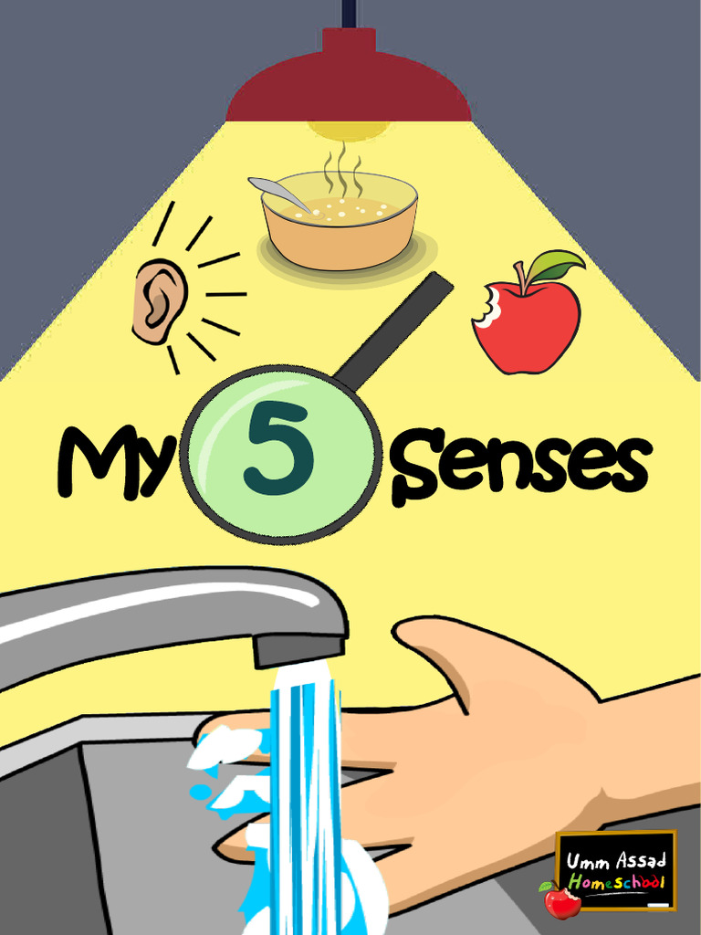 My 5 Senses | PDF