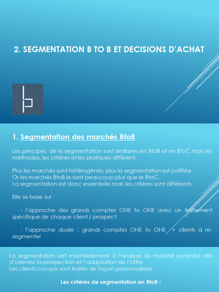 2 Segmentation BtoB | PDF