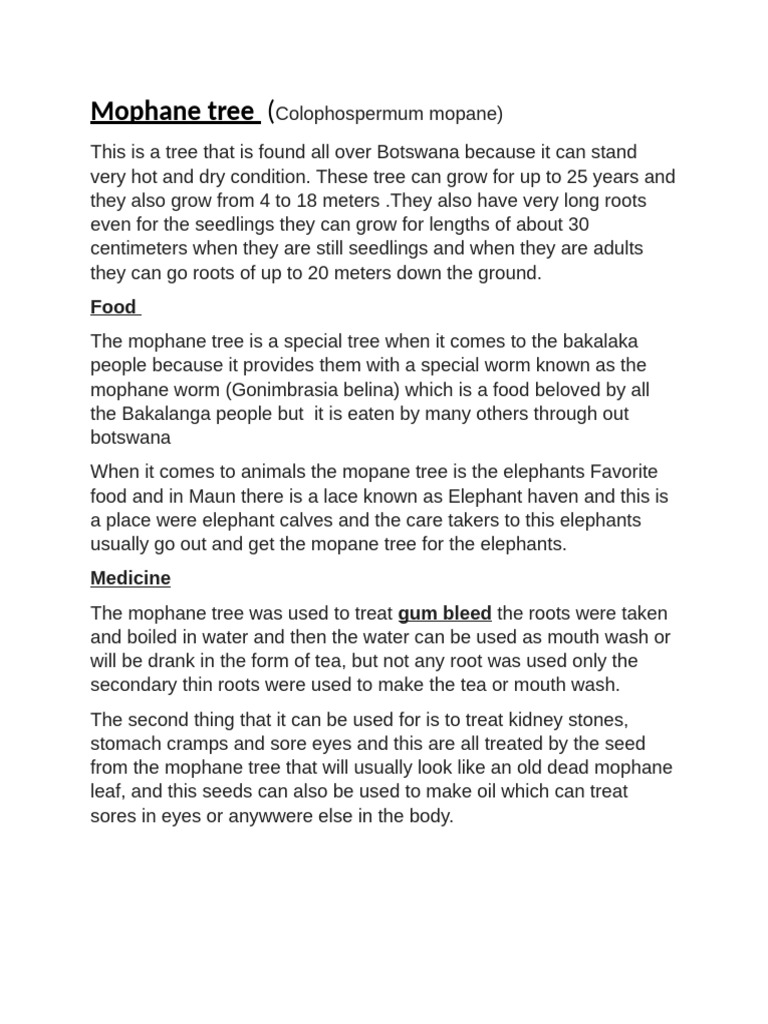 Mophane Research Maun Educational Park | PDF