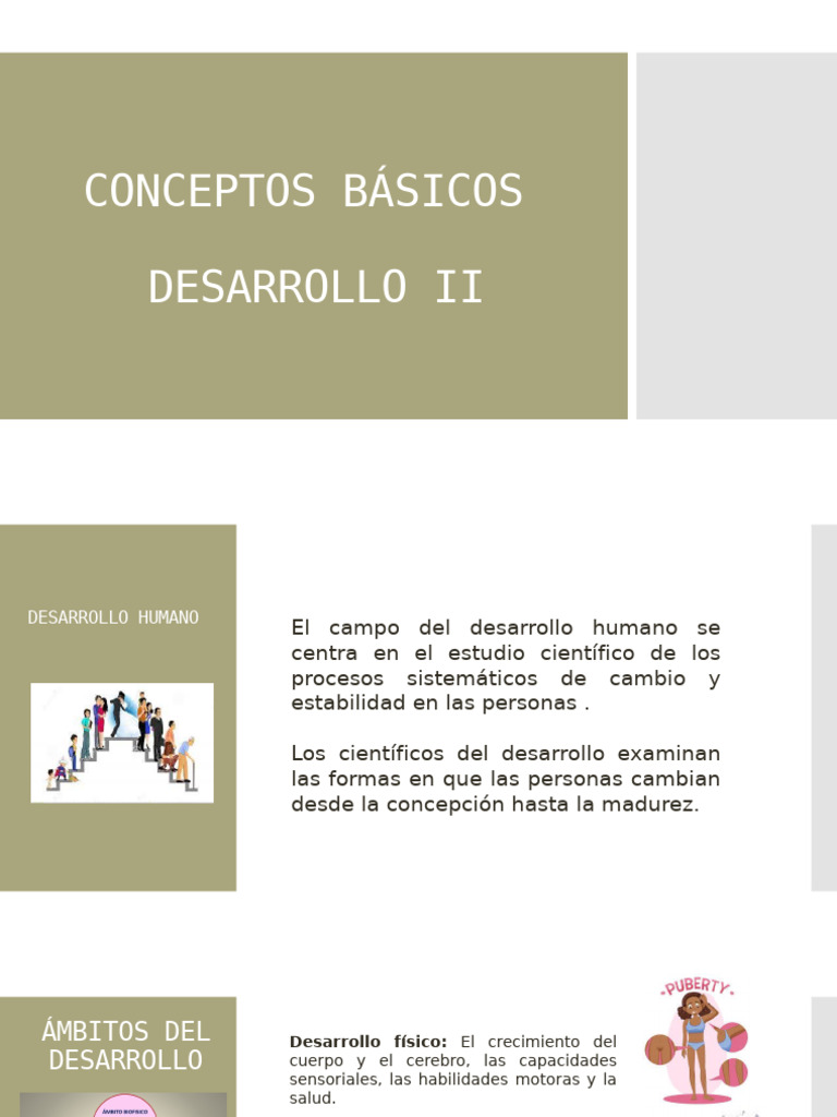 Conceptos Básicos | PDF