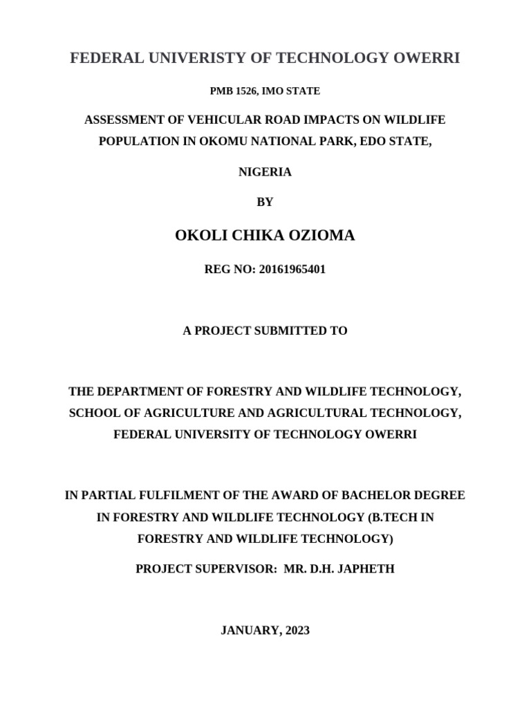 Ozioma Project Work New | PDF