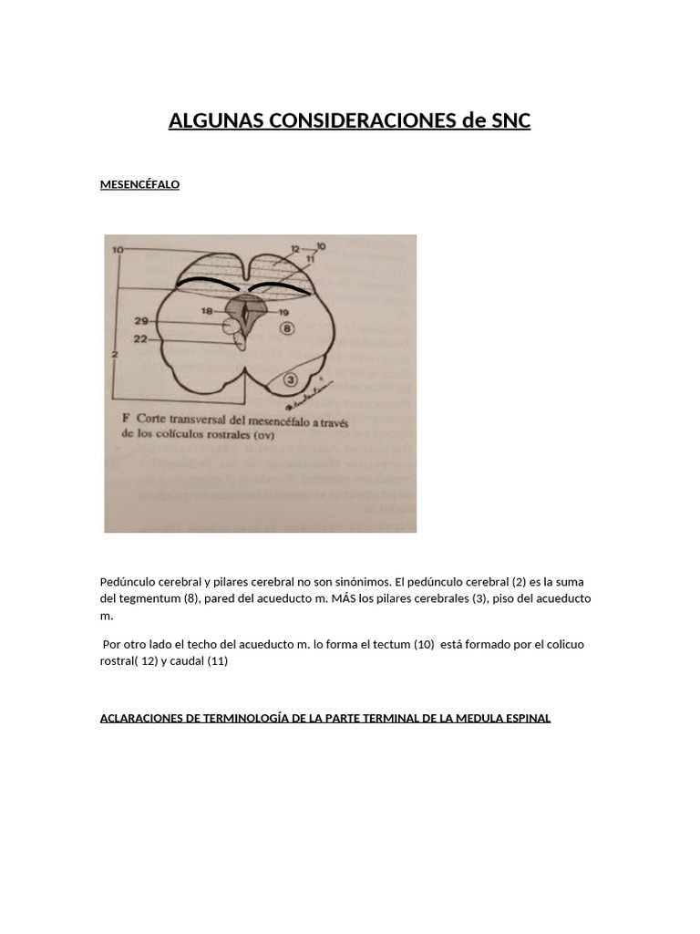 Algunas Consideraciones Del Snc-1 | PDF
