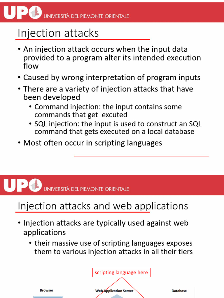 Injection Attacks | PDF
