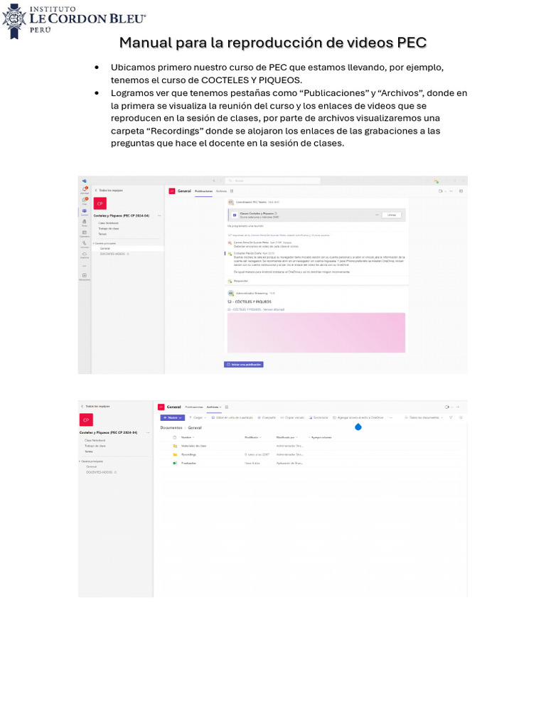 Manual de Reproduccion de Videos PEC | PDF