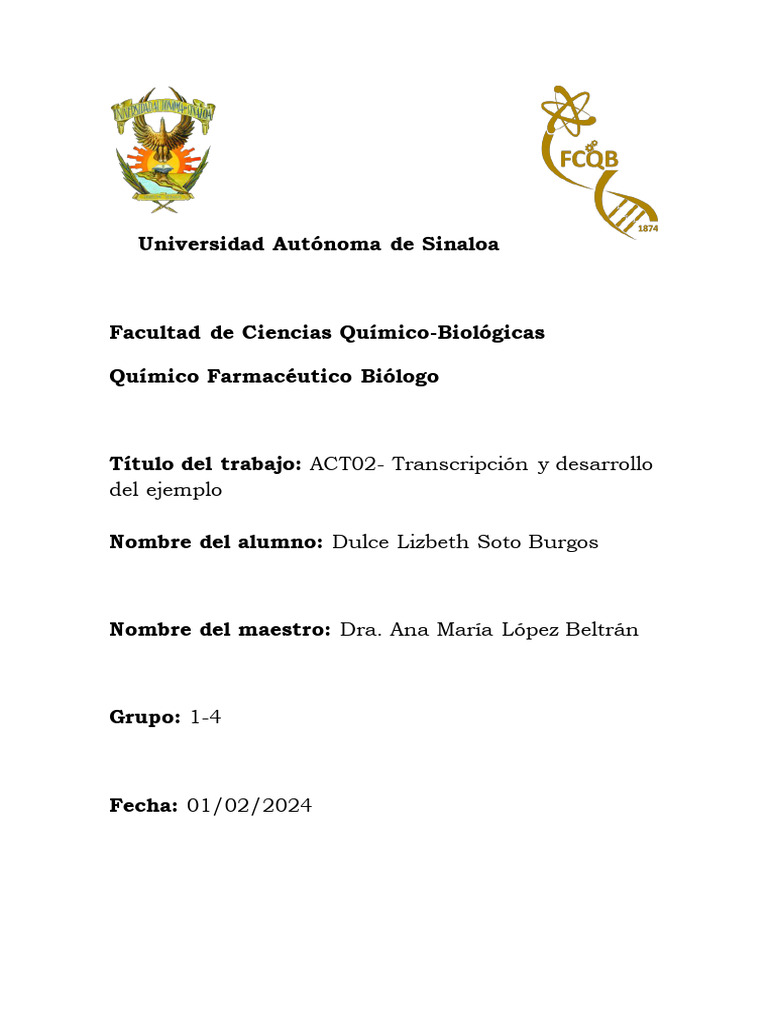 Ac02. Transcripción y Desarrollo de Ejemplo | PDF