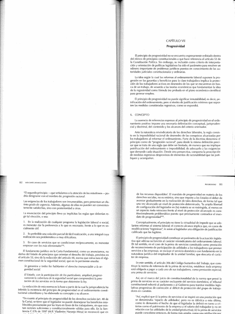 Iván Daniel Jaramillo - Principio de Progresividad | PDF