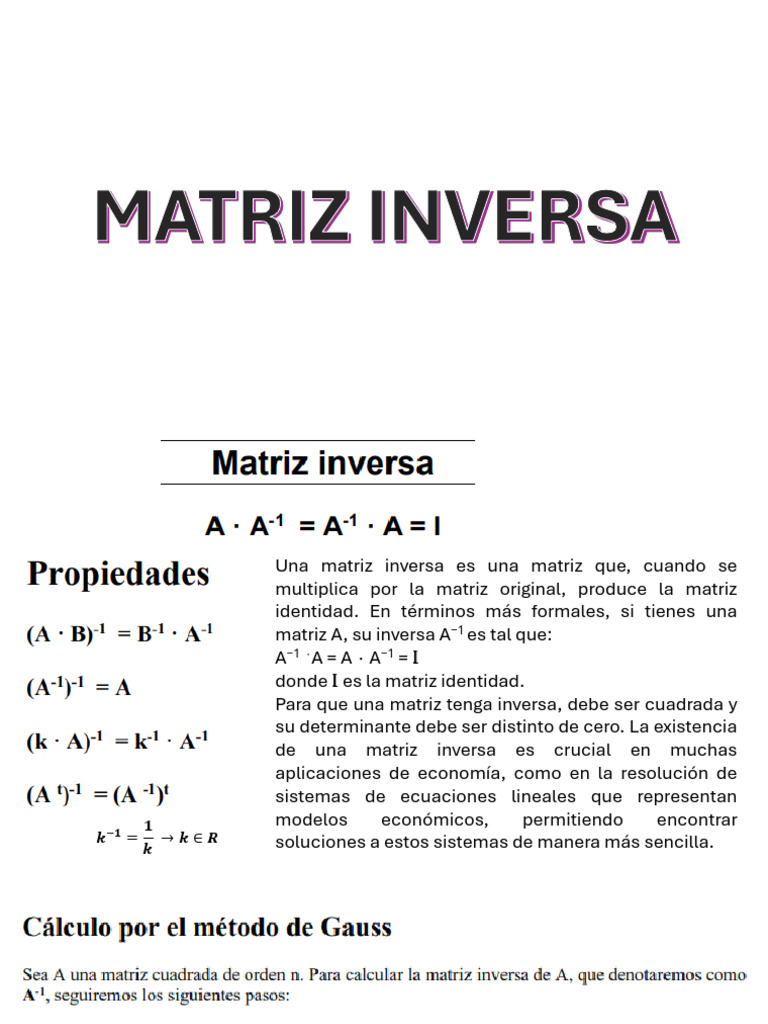 Matriz Inversa.pdf | PDF