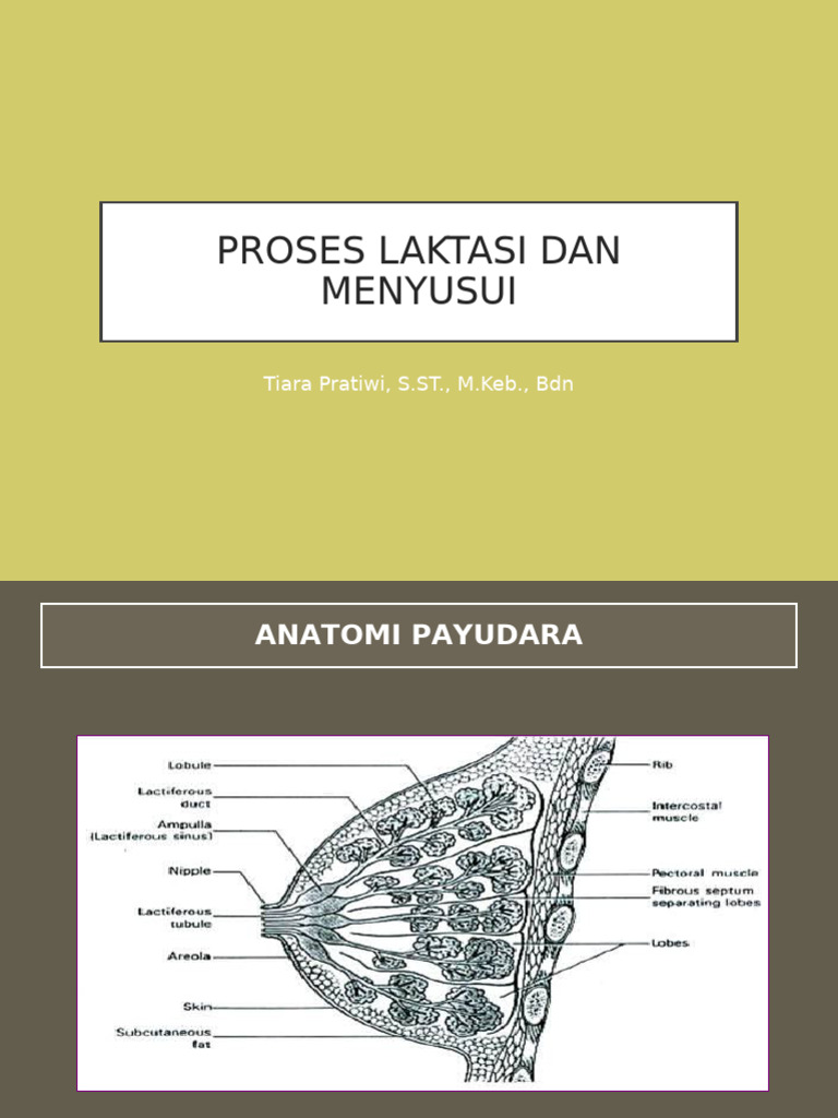 Proses Laktasi Dan Menyusui | PDF