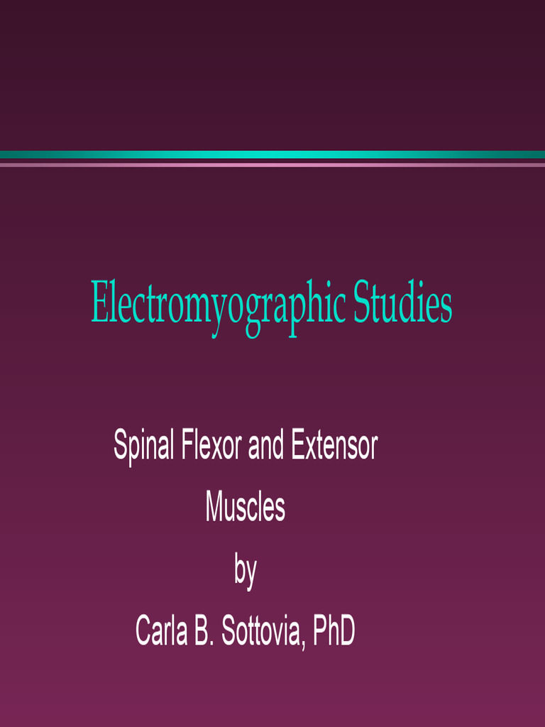 CoreMuscles, Carla Sottovia | PDF