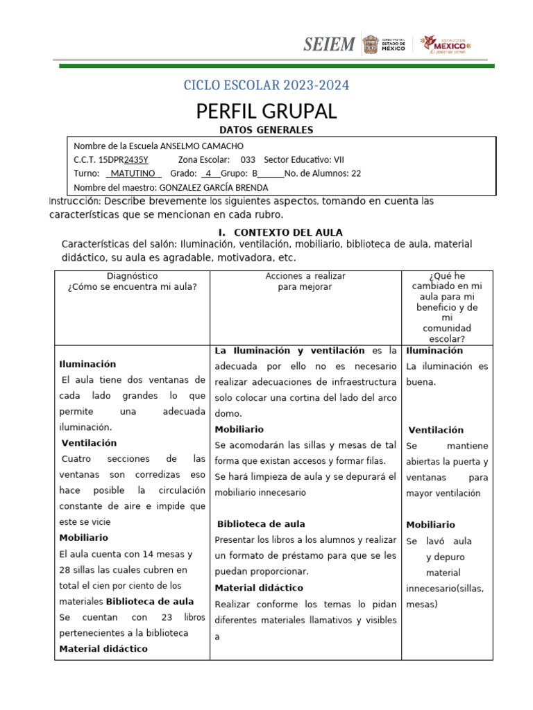 Perfil Grupal 4 B | PDF