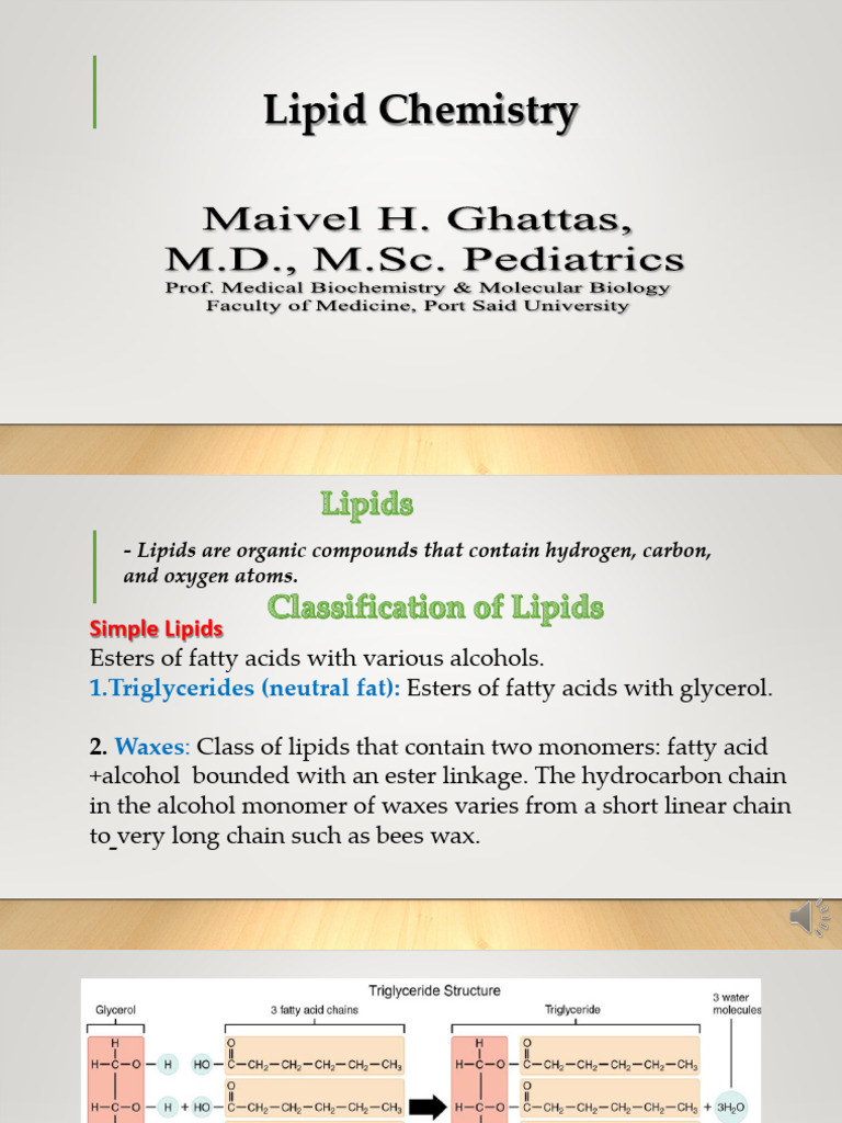 Lipids | PDF