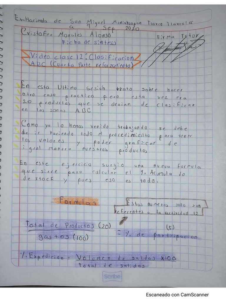 Sesión 12 (Clasificación Abc, Ejercicio Práctico de Reforzamiento) | PDF