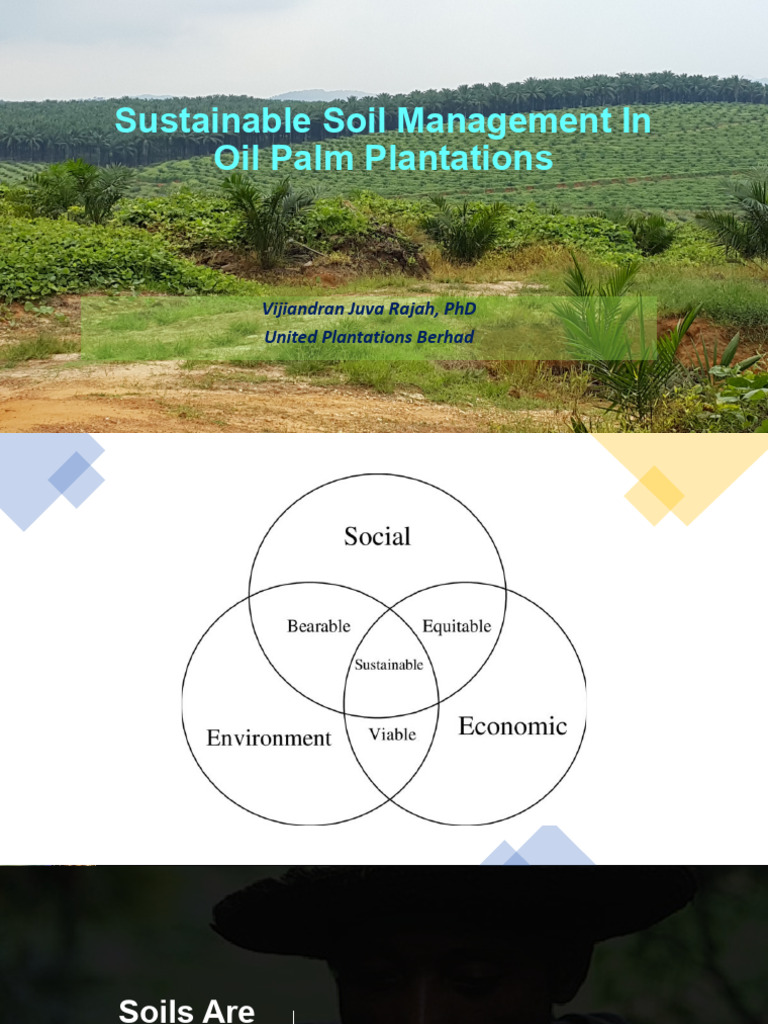 Sustainable Soil Management | PDF