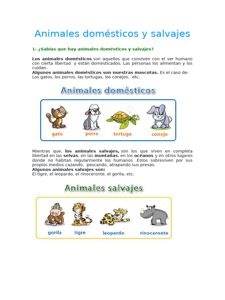 Animales Domésticos y Salvajes CLASIFICACION | PDF