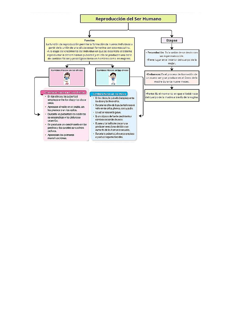 Naturals | PDF Naturals | PDF