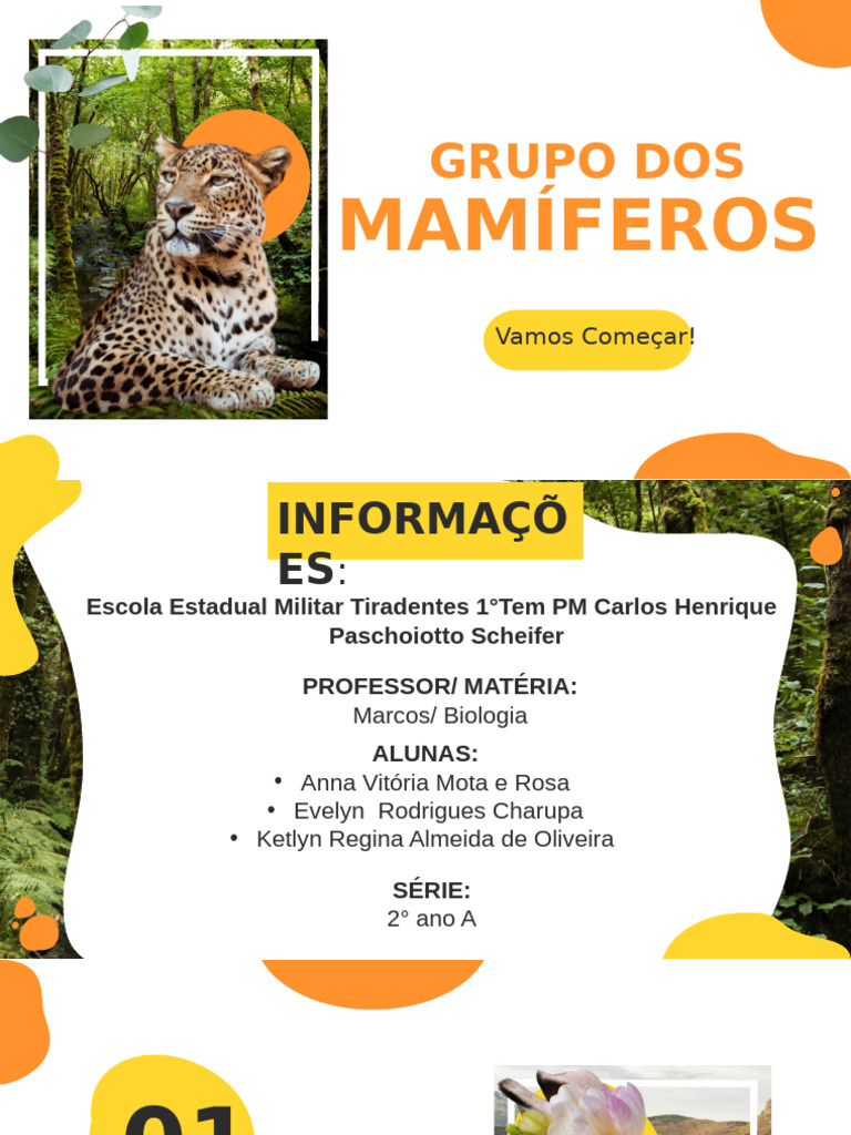 Slides Biologia Mamíferos | PDF