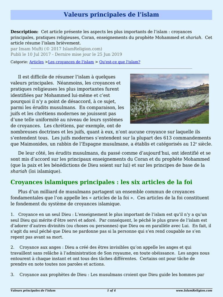 Core Values of Islam 10256 FR | PDF