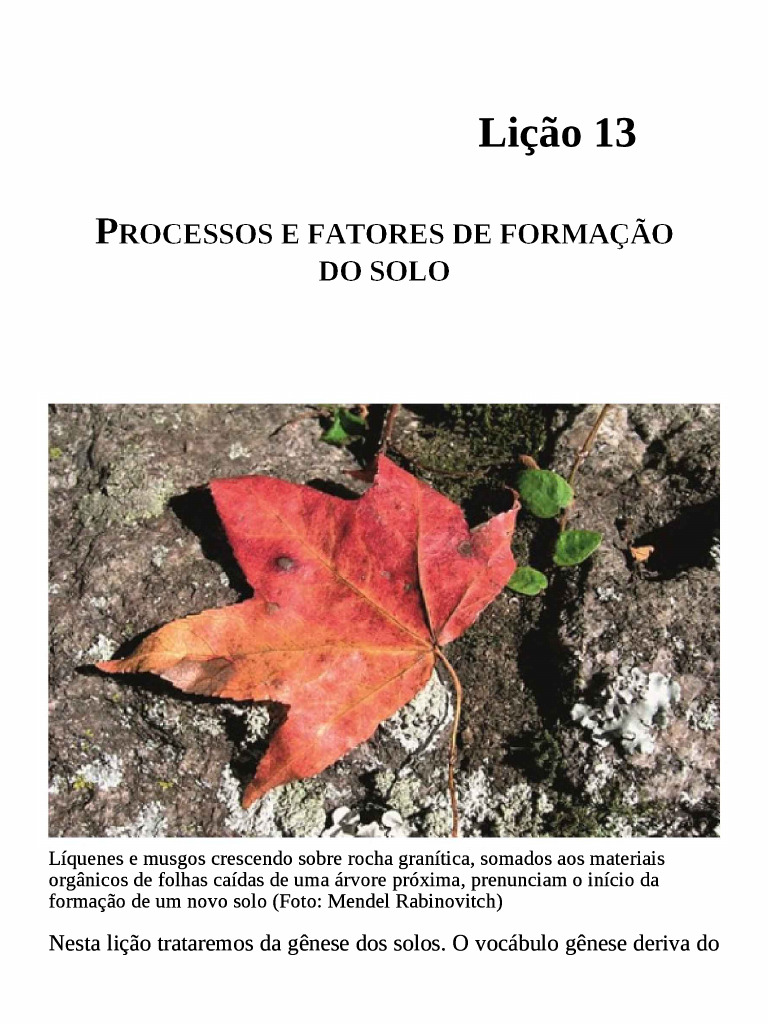 Licao 13 - Lepsch | PDF