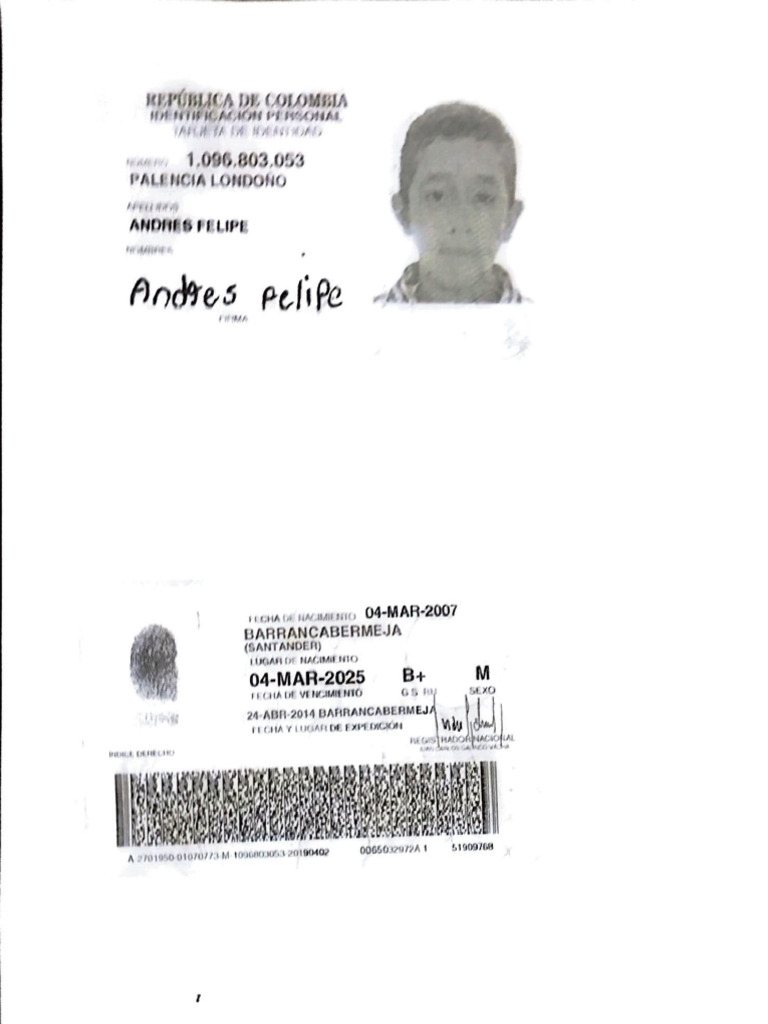 Cedula Felipe Palencia | PDF