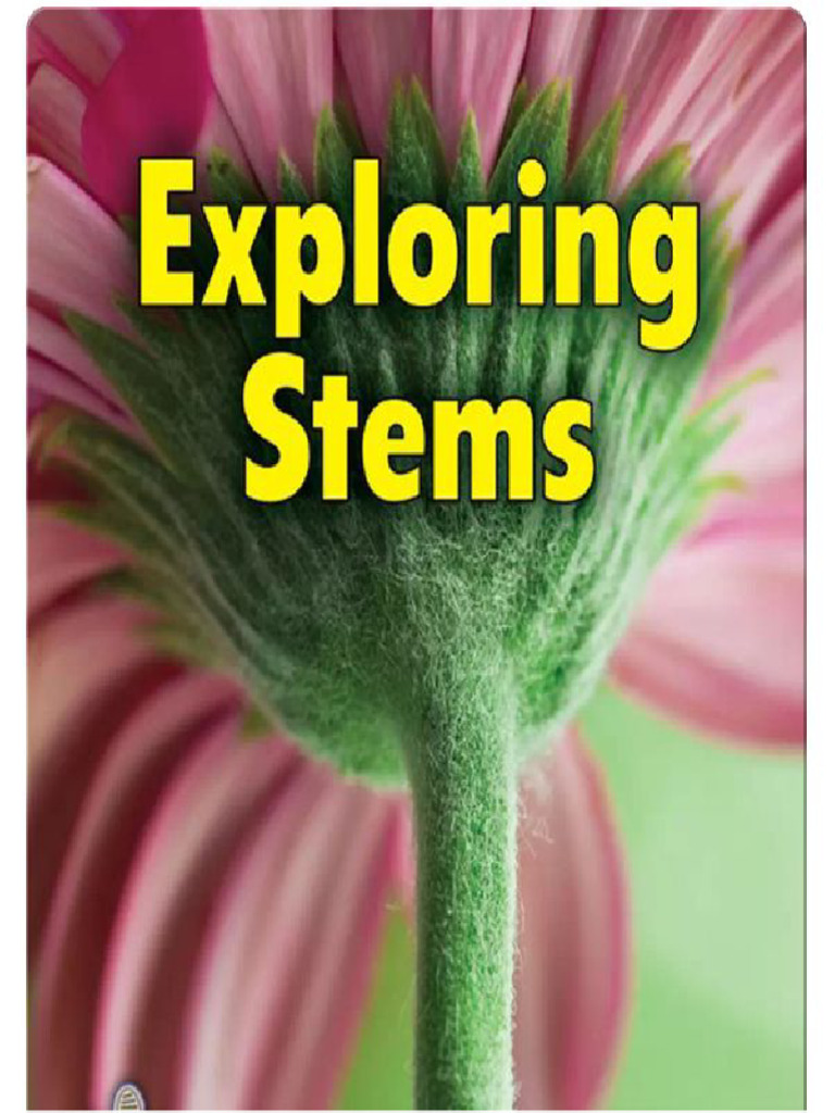 Stems | PDF