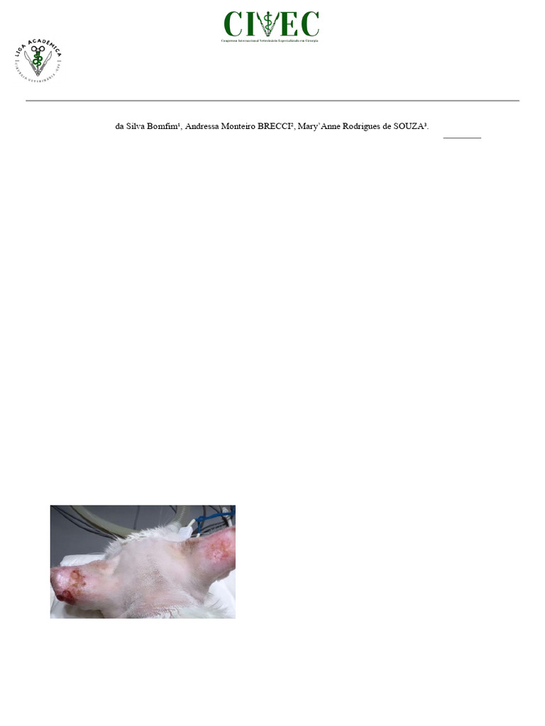 Conchectomia em Felinos | PDF