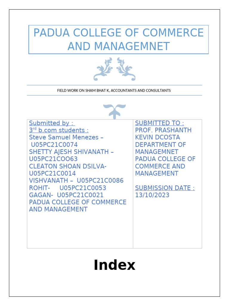 Auditing Project Work | PDF