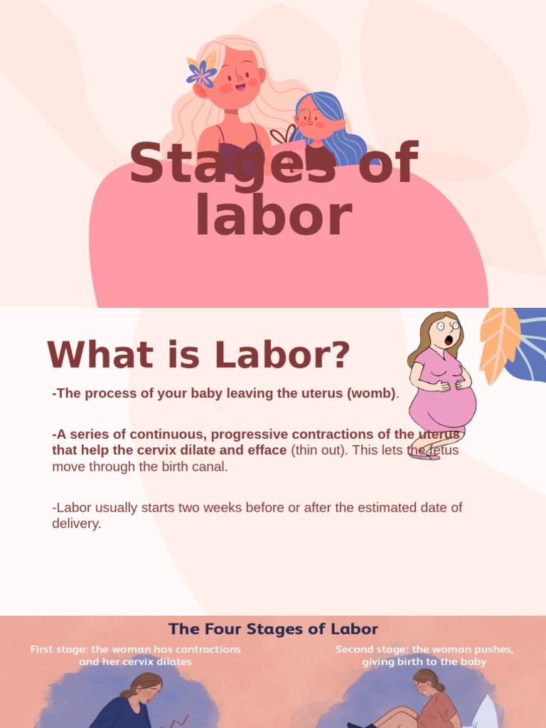 Stages of Labor | PDF