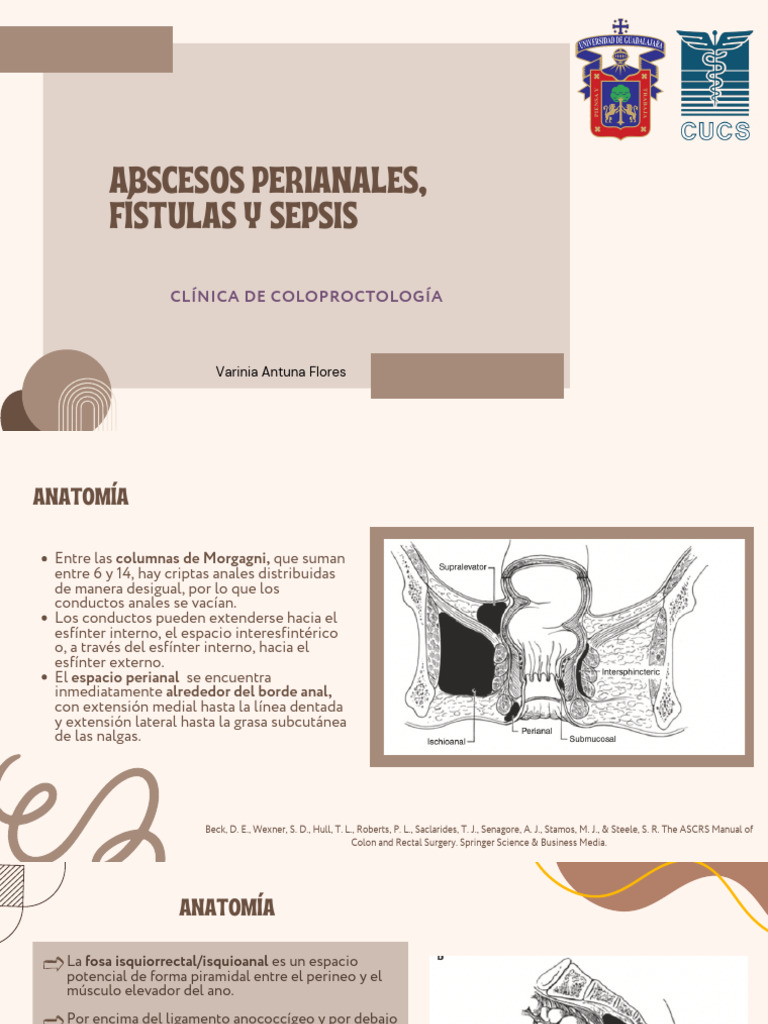 Abscesos Perianales, Fístulas y Sepsis | PDF