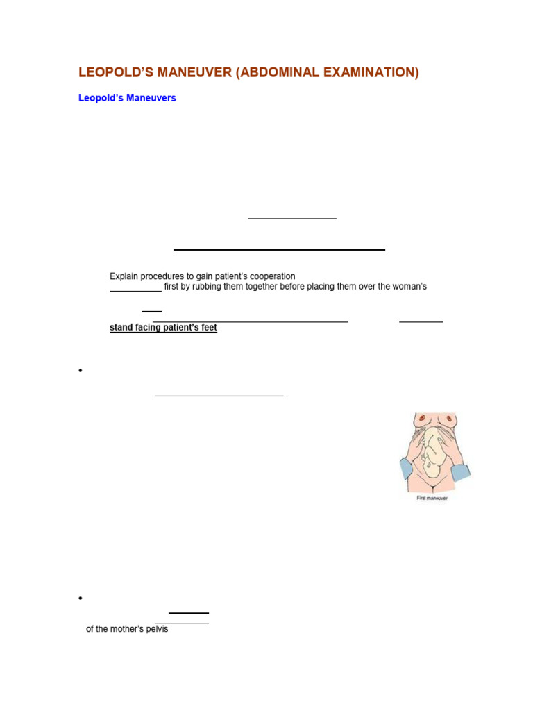 Leopolds Handout | PDF