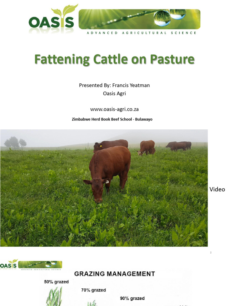 Fattening Cattle On Pastures Francis Yeatman | PDF